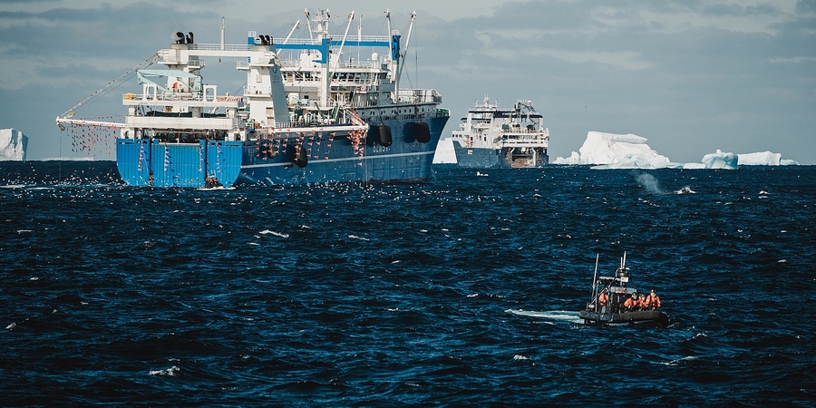 Sea Shepherd Global