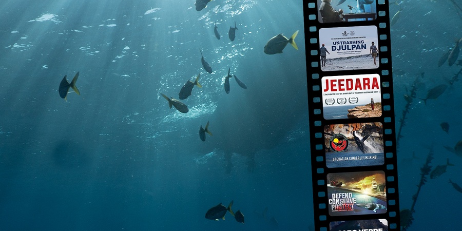 shark poaching documentary