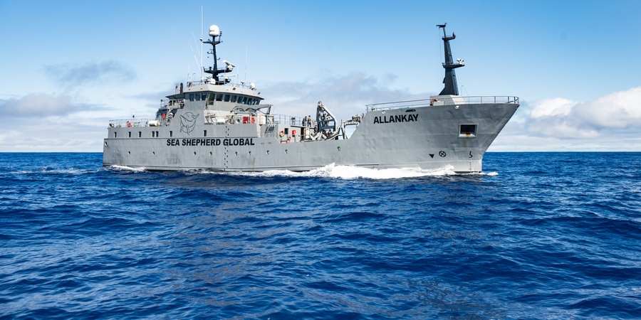 Sea Shepherd Switzerland