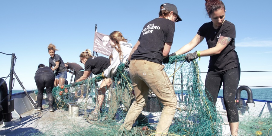 Sea Shepherd Australia