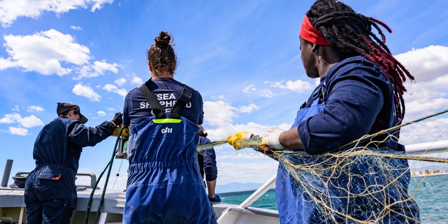Sea Shepherd Australia