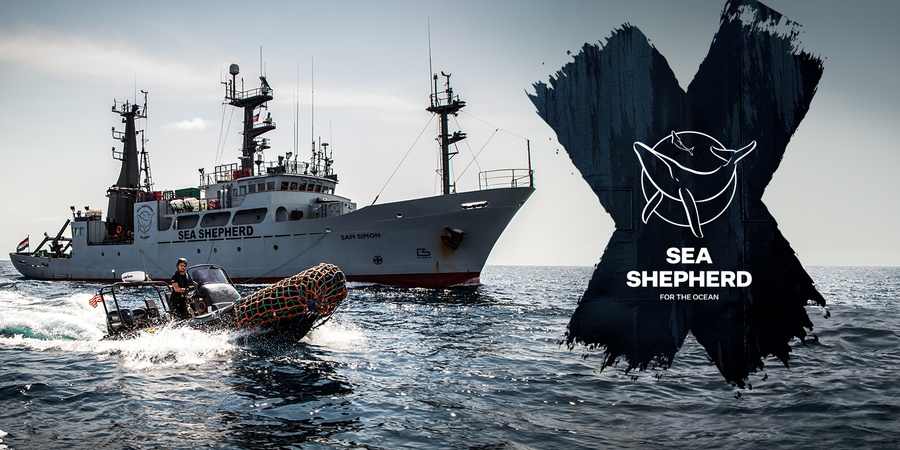Sea Shepherd Spain