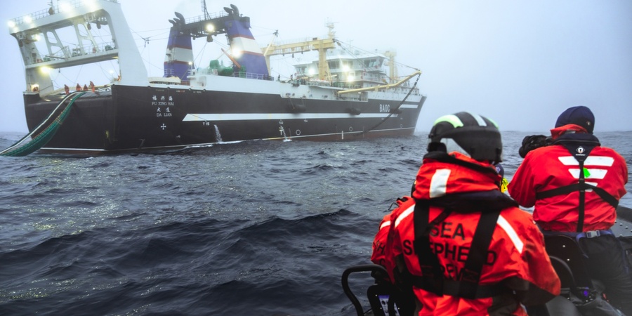 Sea Shepherd Switzerland