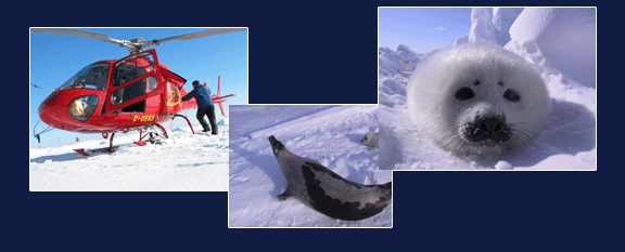 Sea Shepherd Australia