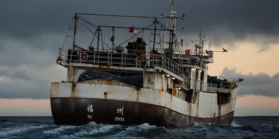 Sea Shepherd Australia