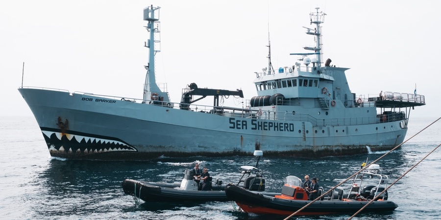 Sea Shepherd Australia