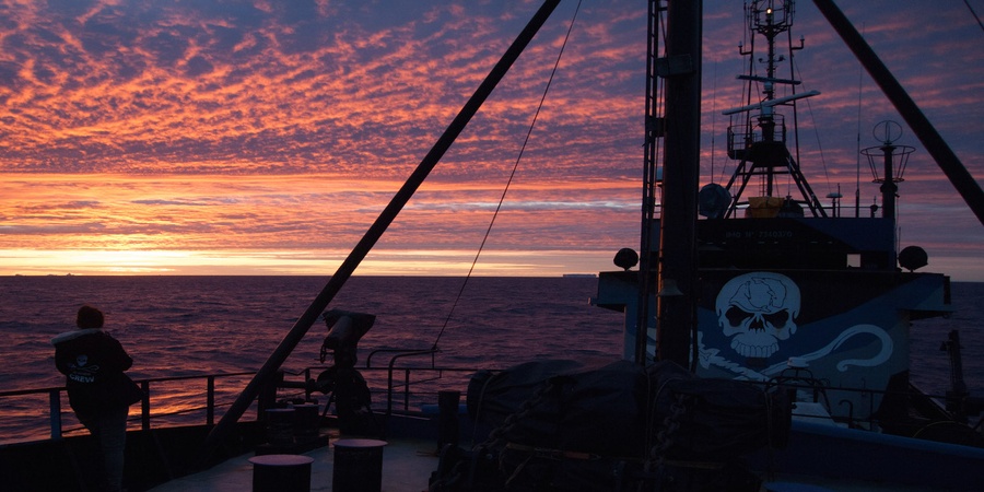Sea Shepherd Australia