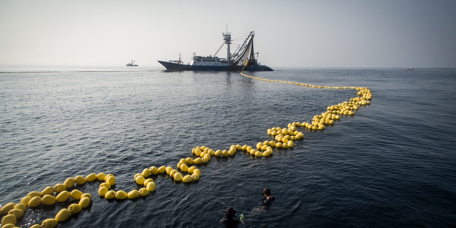 Sea Shepherd Scandinavia