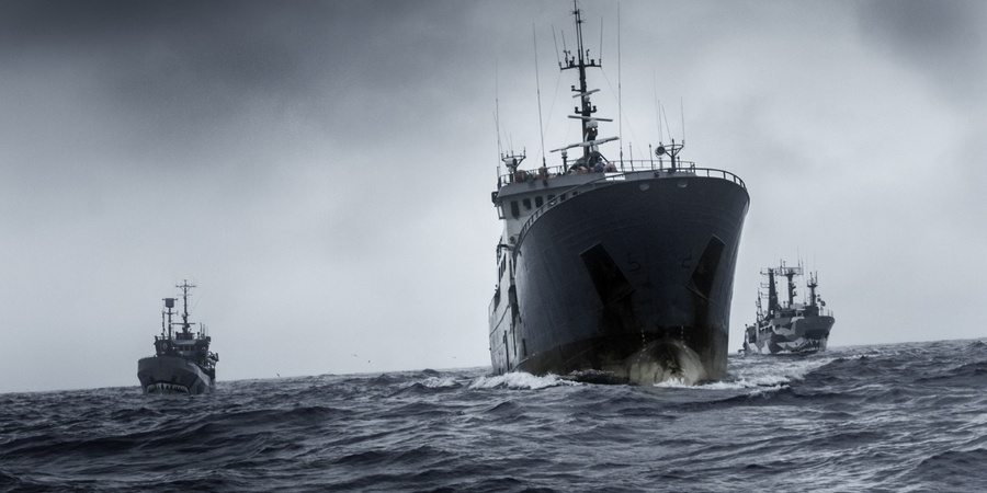 Sea Shepherd Australia