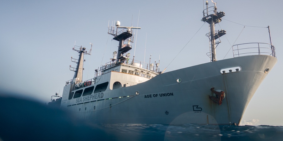 Sea Shepherd New Zealand
