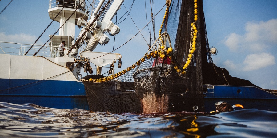 Sea Shepherd Australia